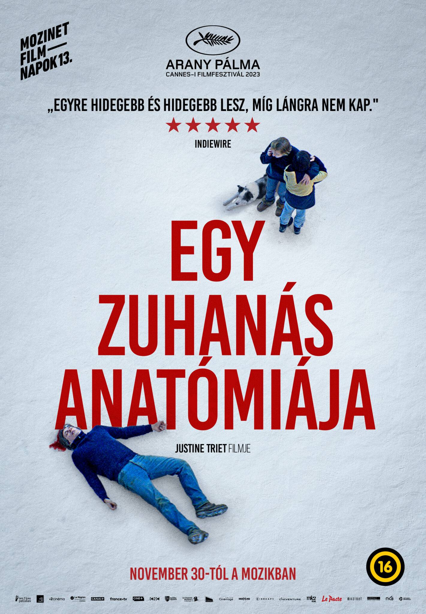 Egy zuhanás anatómiája • mozinet