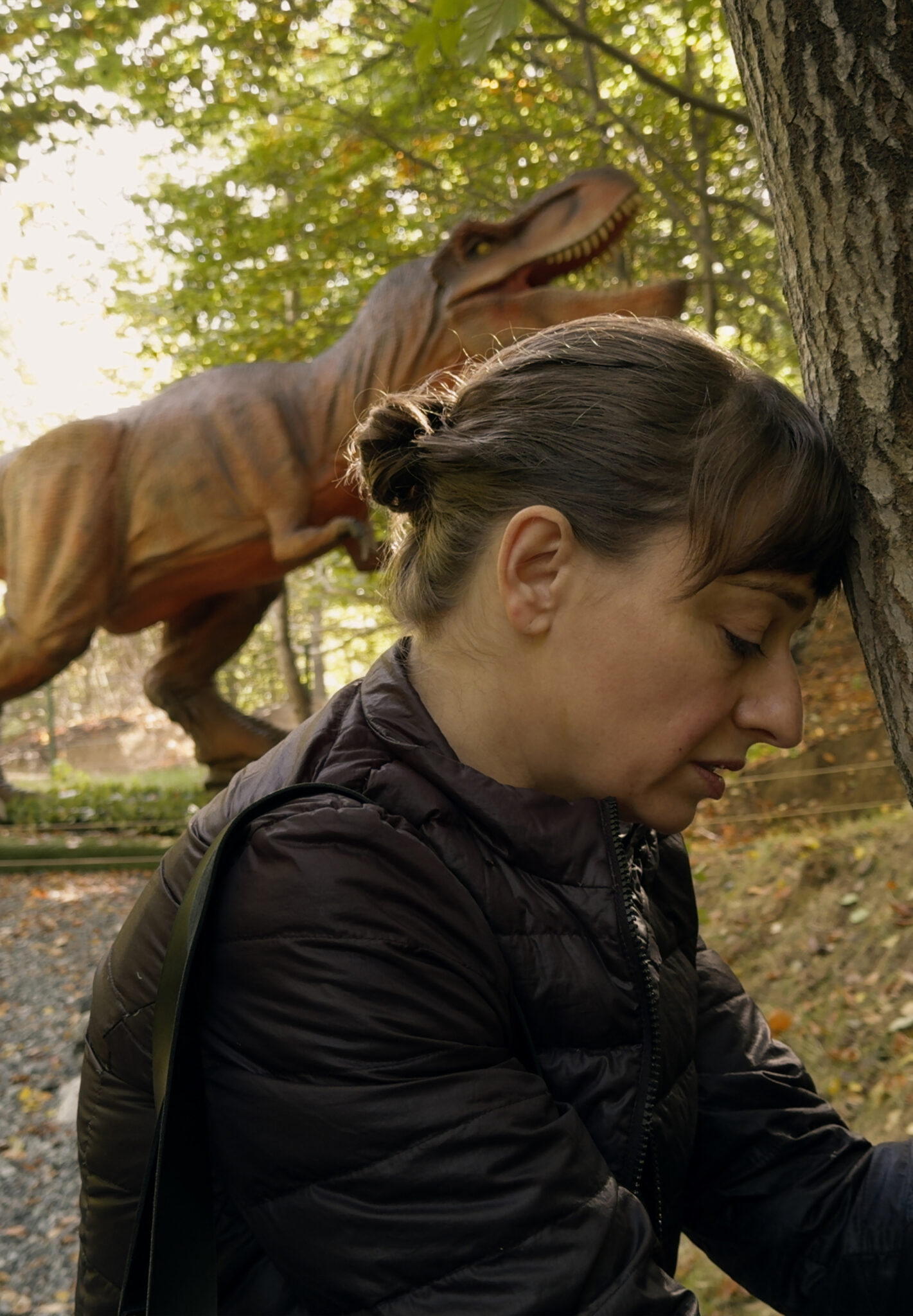 Csendes barát – Mozinet